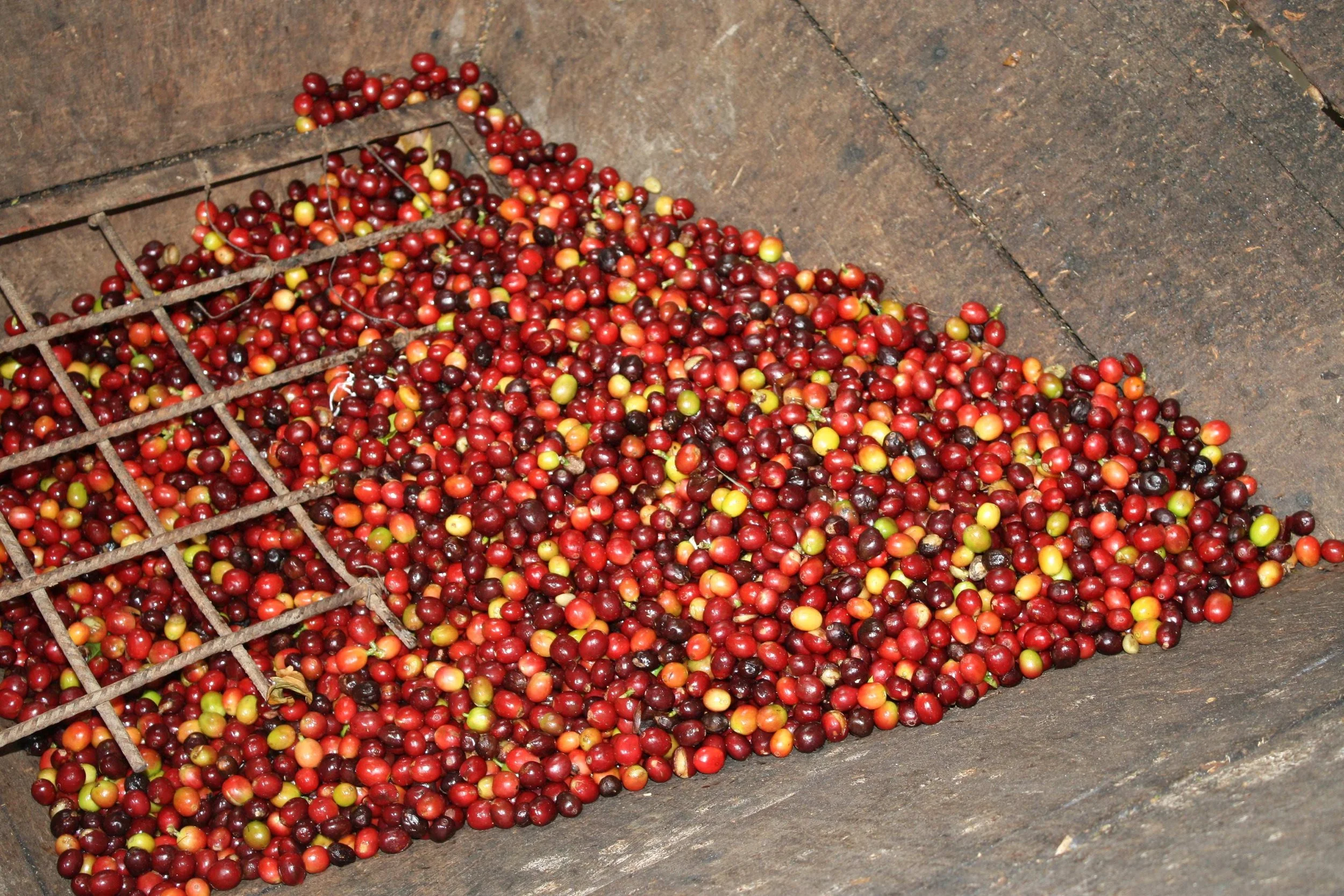 Serious About Coffee — The Vintage Restaurant | New Orleans, LA