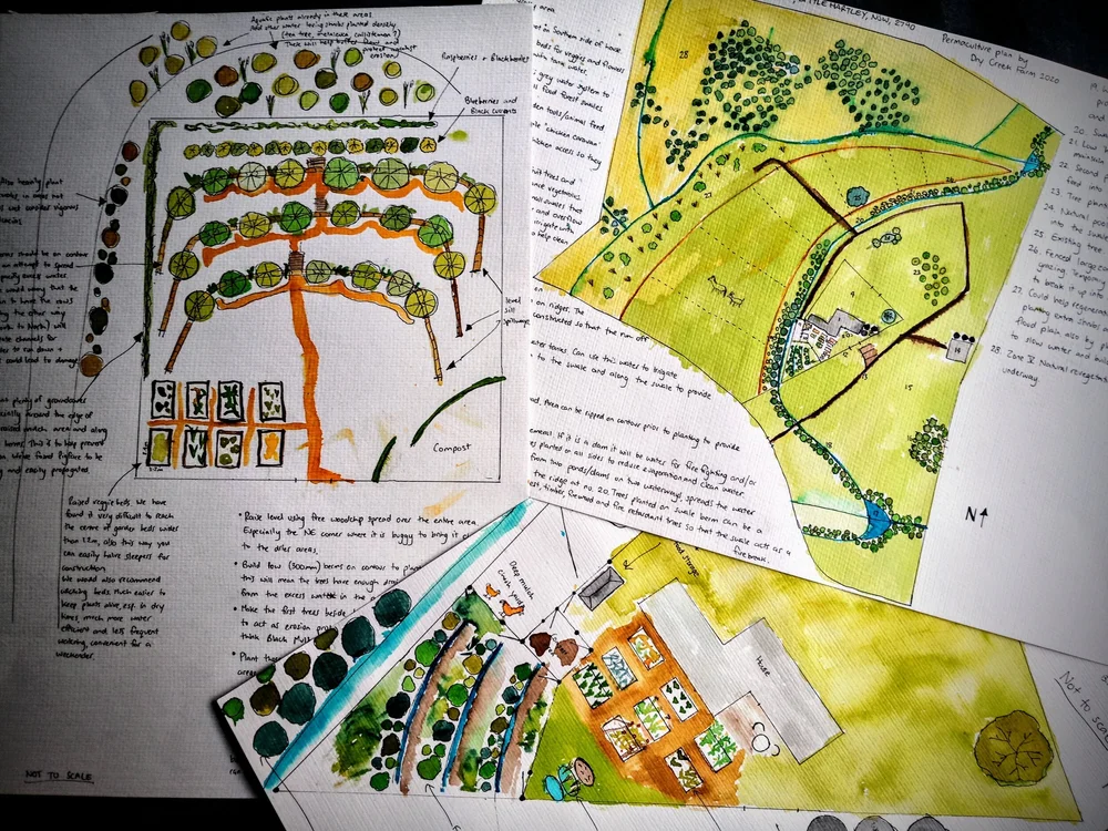 Dry Creek Farm-Permaculture Design, Earthworks and Regenerative Agriculture
