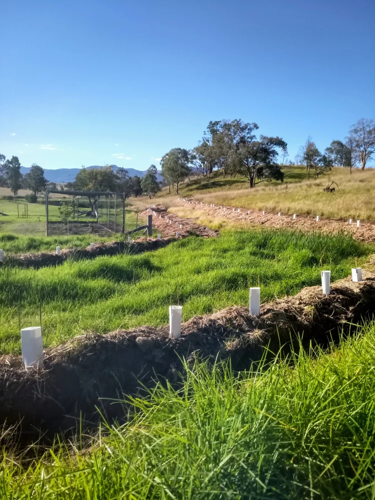 Dry Creek Farm-Permaculture Design, Earthworks and Regenerative Agriculture