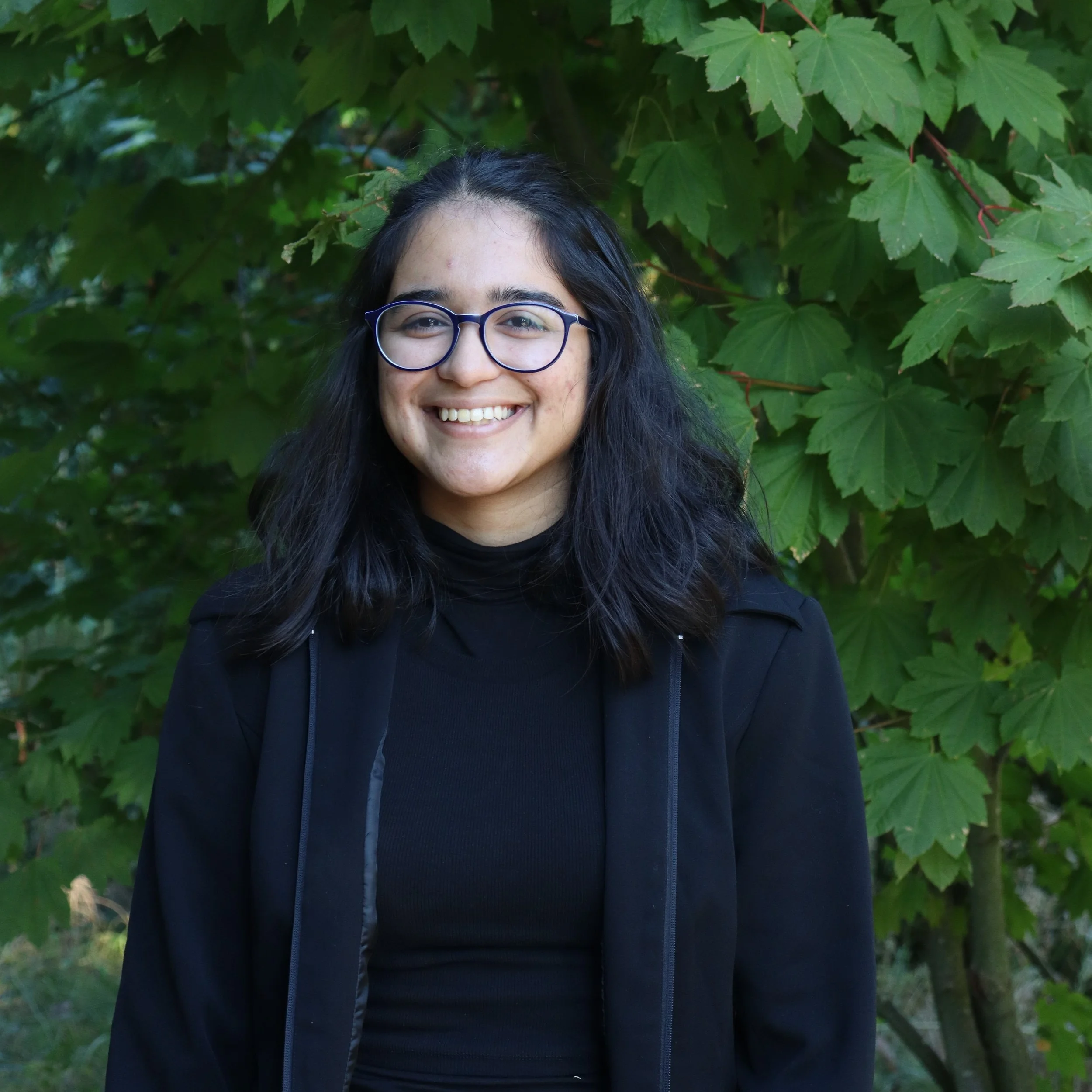 Impact Analysis Team — Sustaingineering