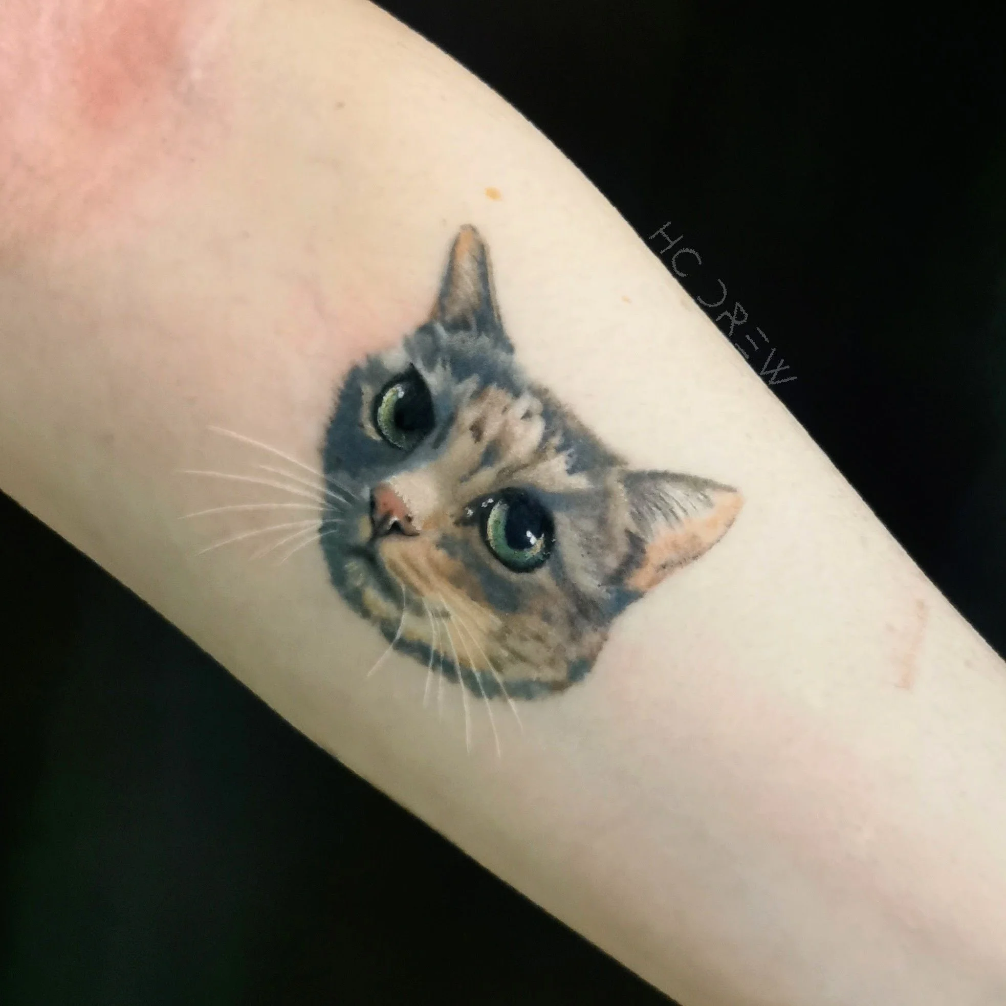 Heather Drew — Unity Tattoo