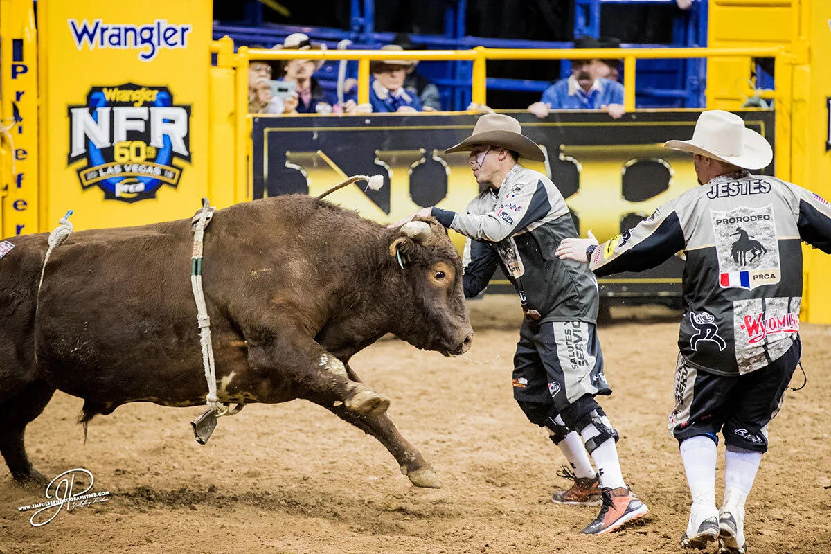 Cody Webster Professional Bullfighter