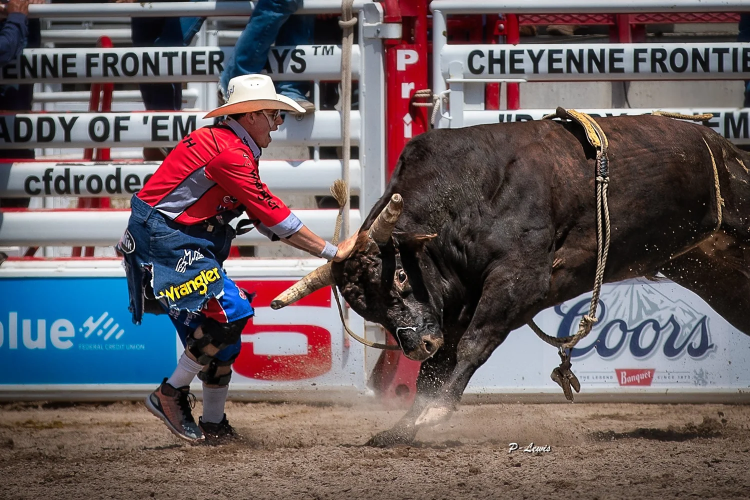 Cody Webster Professional Bullfighter