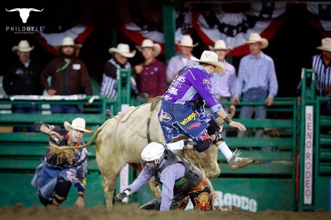 Cody Webster Professional Bullfighter
