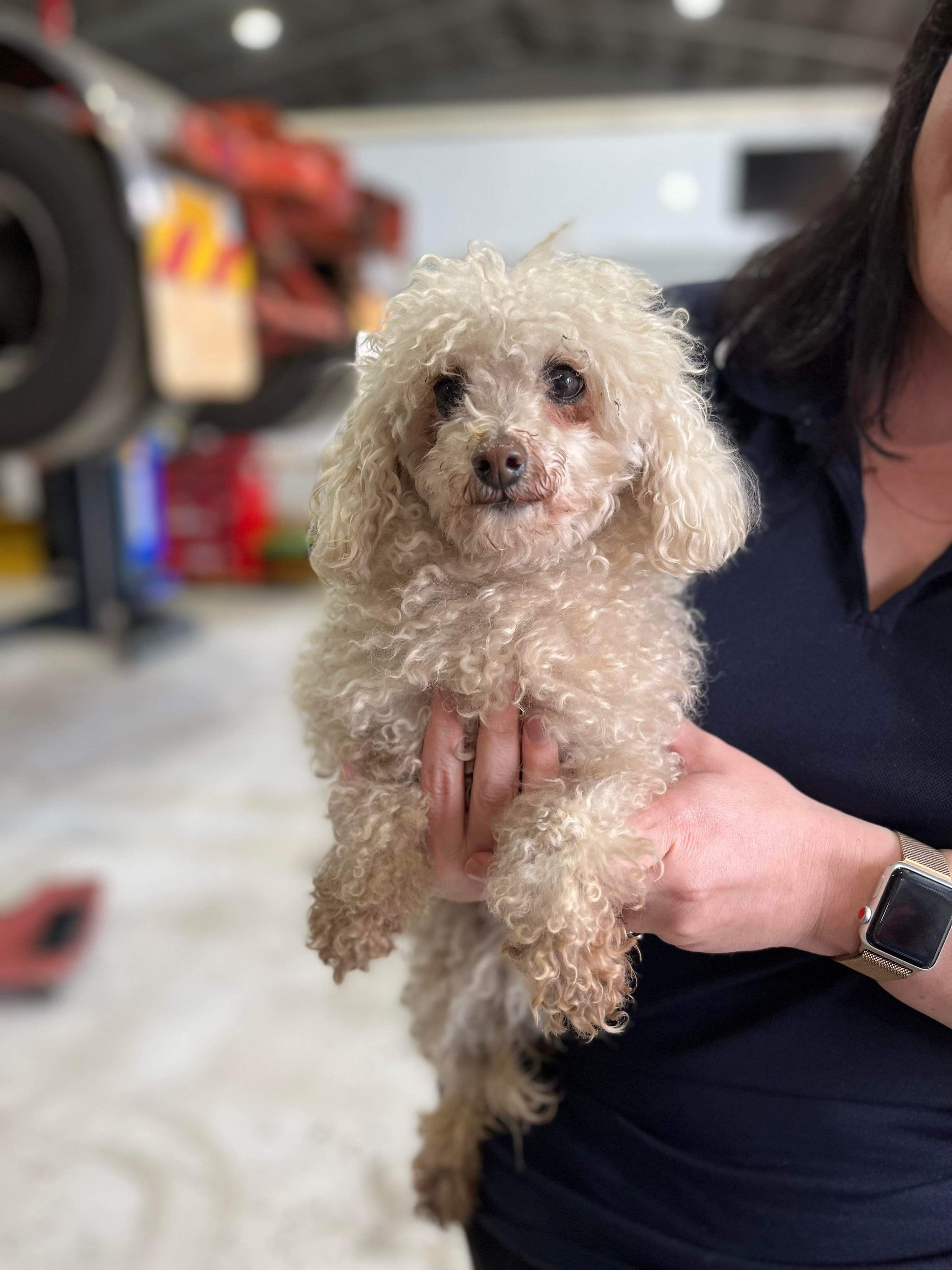 Meet the Langley's Team — Langley's Coaches