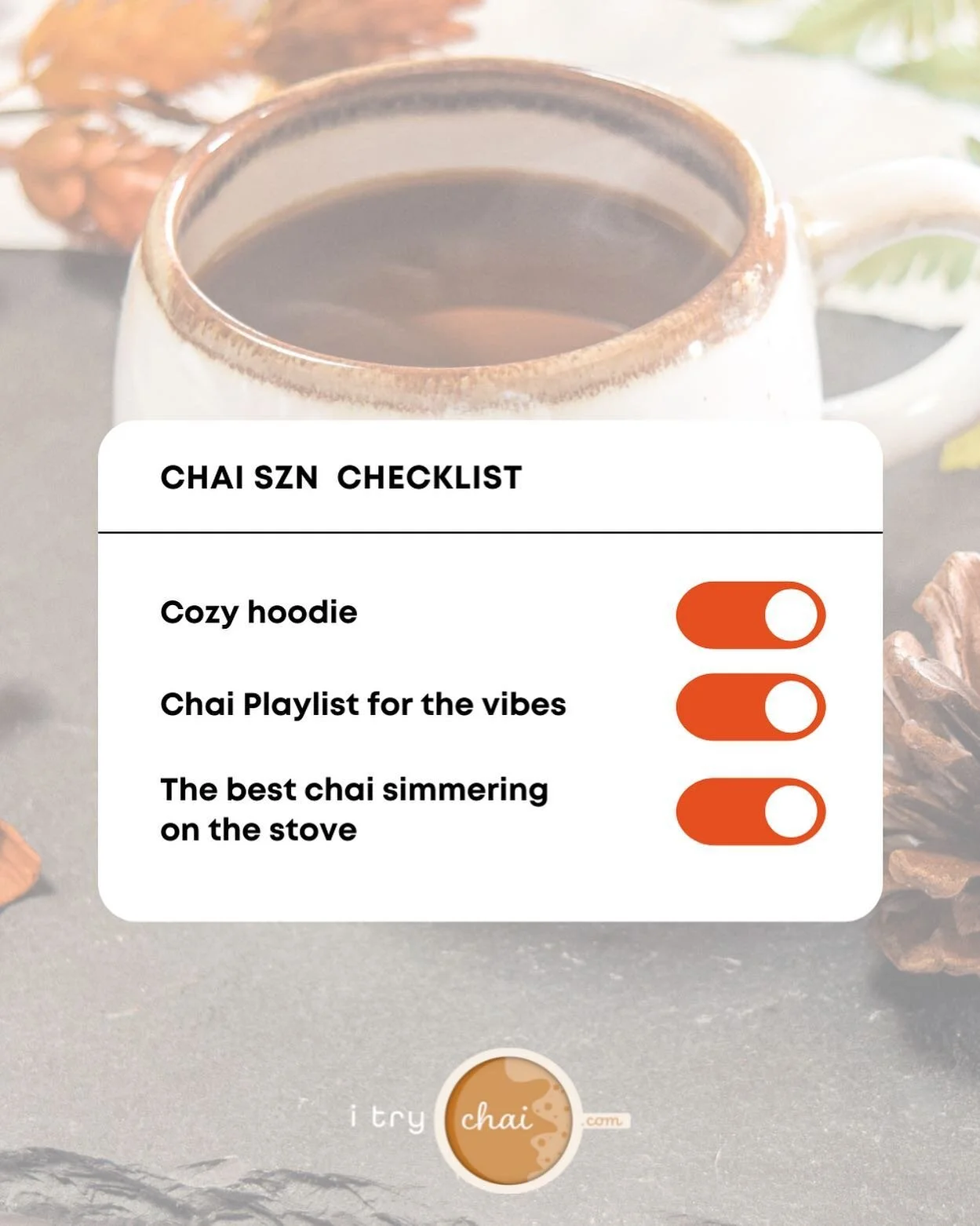 10 Things Every Chai Lover Needs 2020 — i try chai
