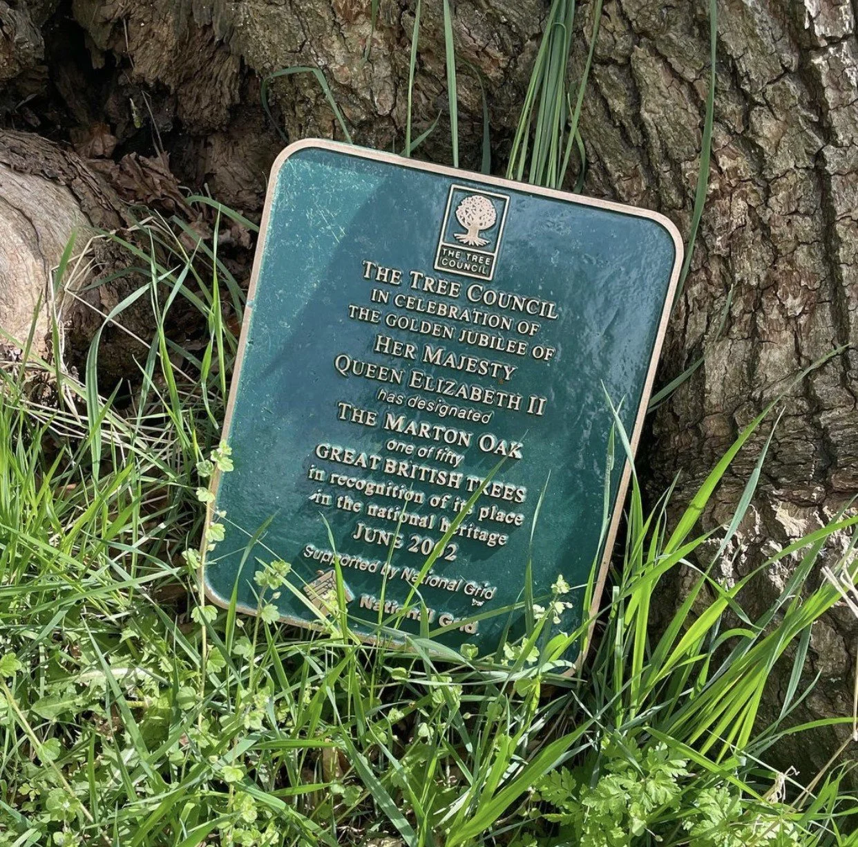 The Marton Oak Tree, Cheshire Bespoke Timber Windows and Doors in ...