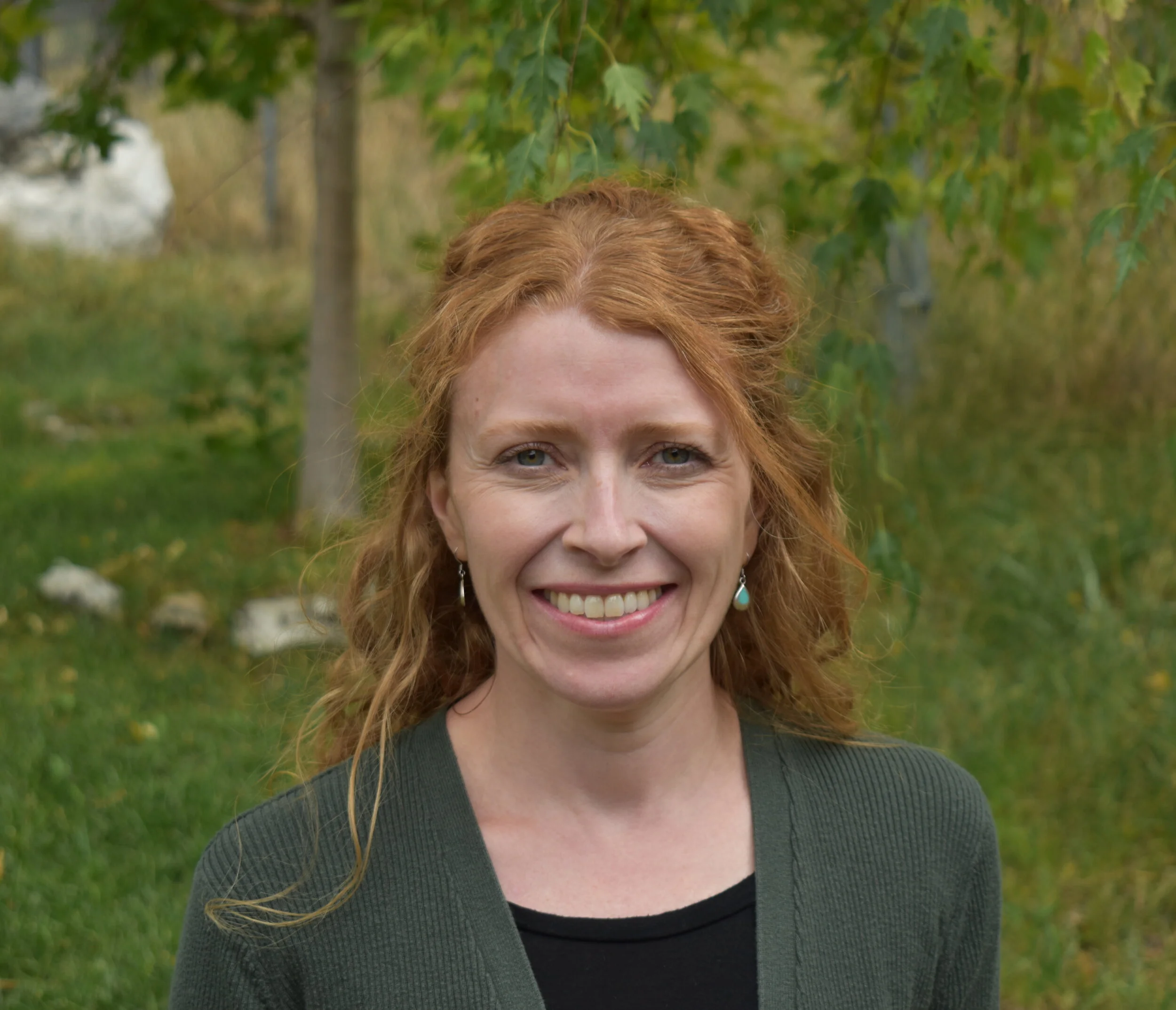 About — Greenfield Environmental Trust Group