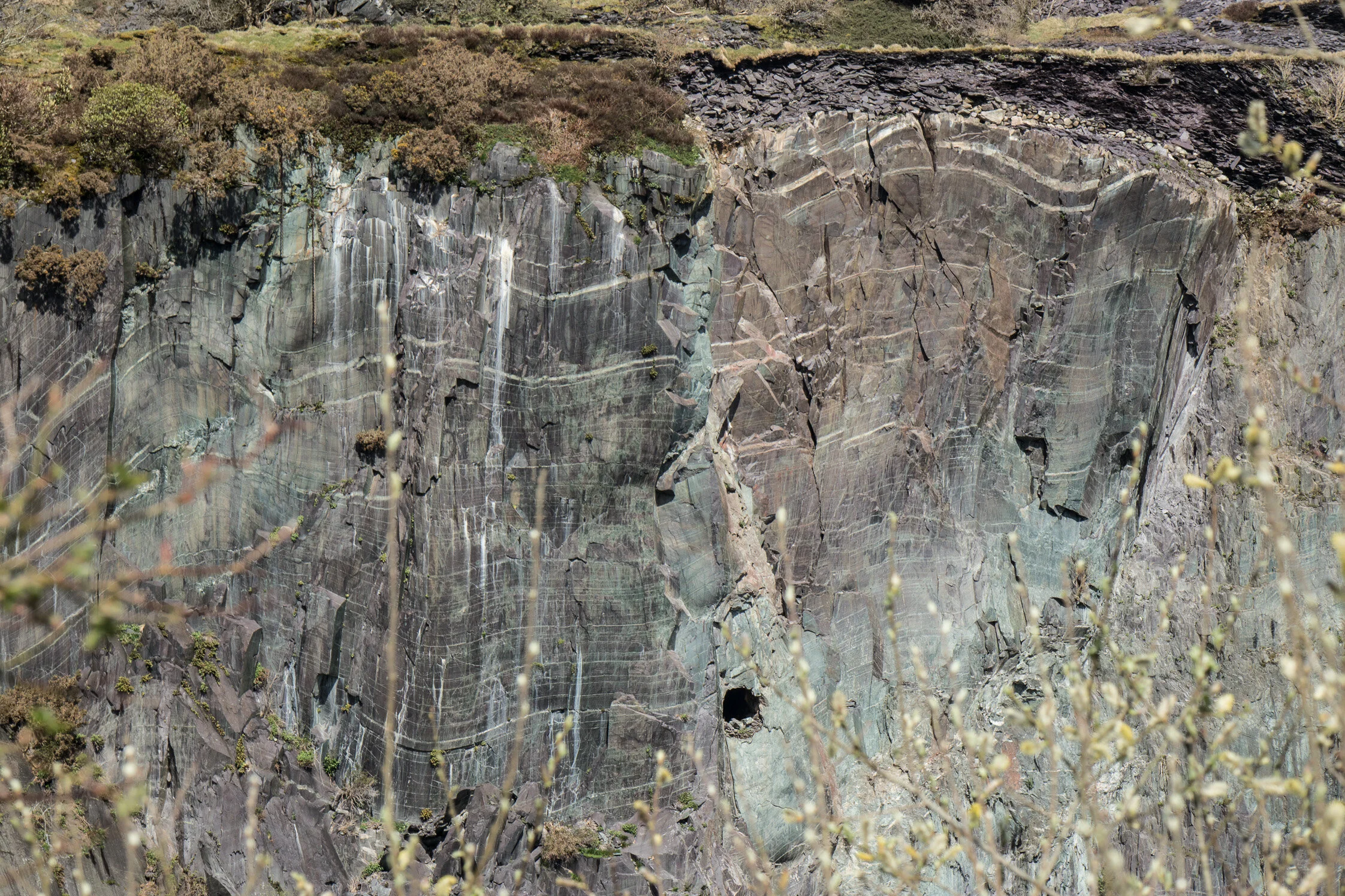 Blog — Merched Chwarel