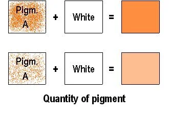What is Tinting Strength? — Royal Talens North America