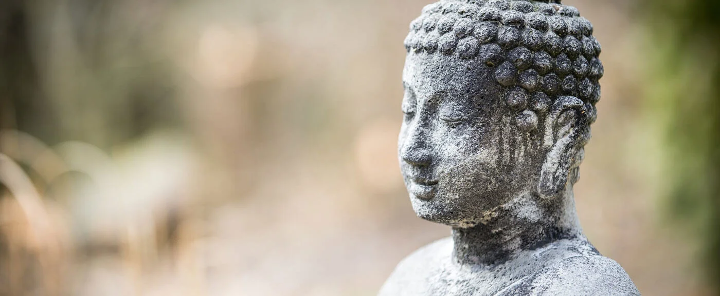 Eastern Acupuncture and Wellness: Holistic Healing