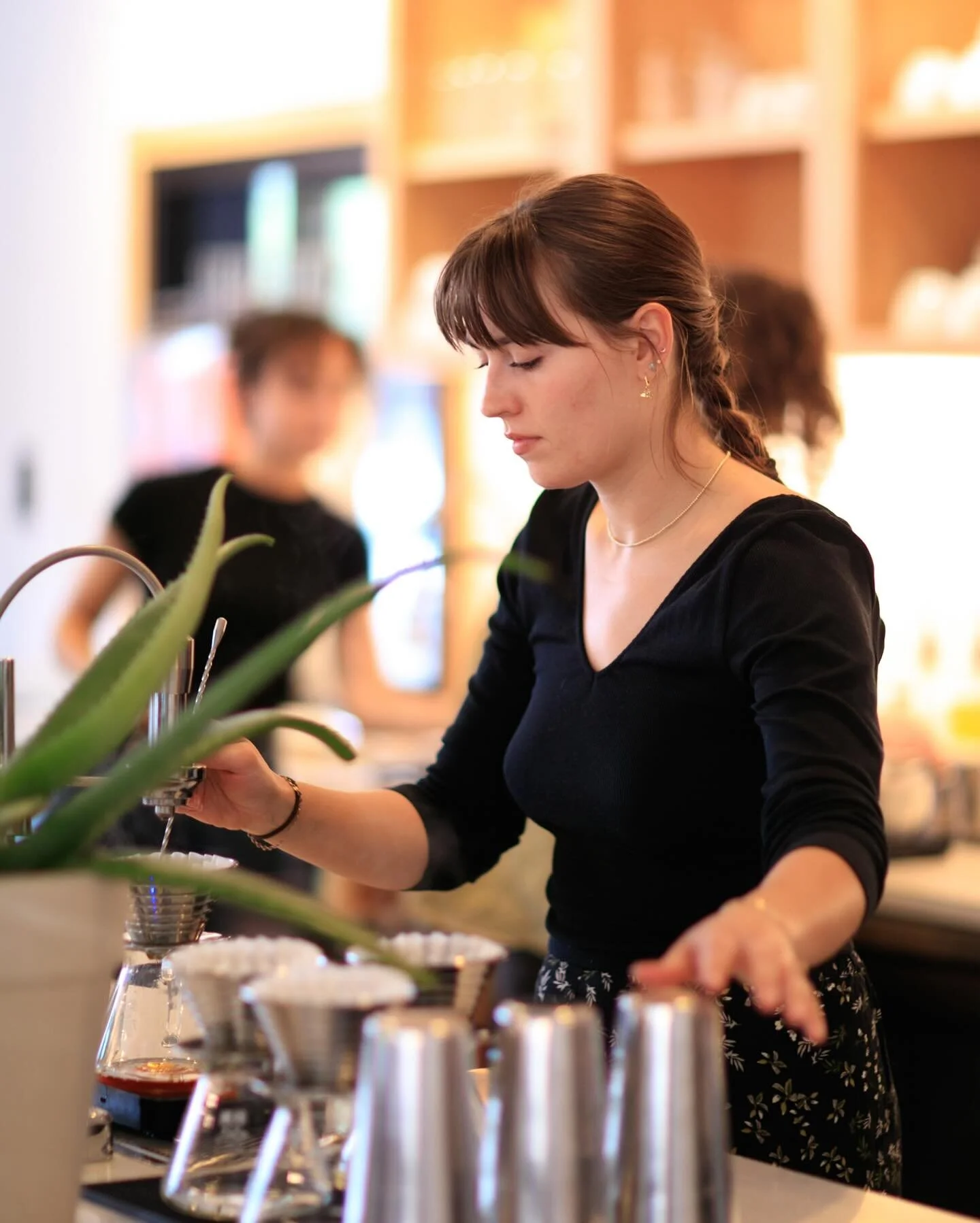 Fiddlehead Fern Café