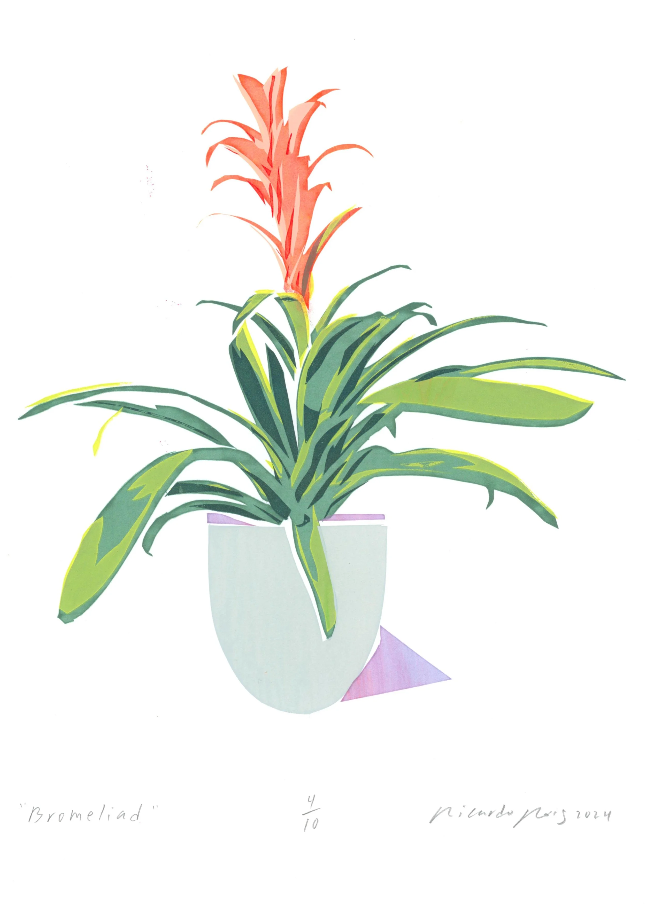 "Bromeliad" by Ricardo Roig, Original Flower Art on Paper — Roig Collection