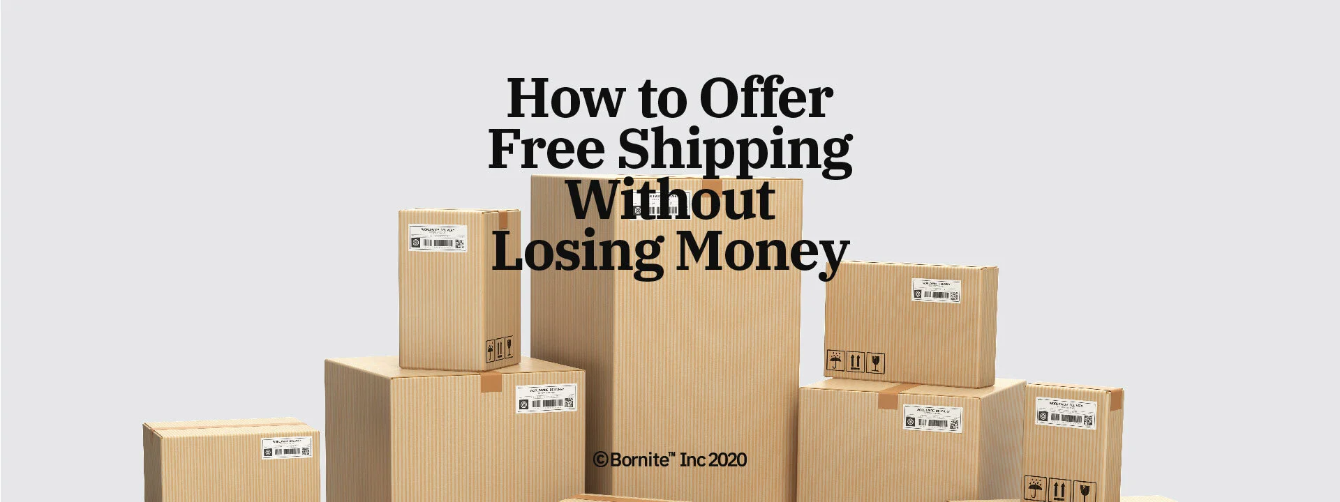 BORNITE — How to Offer Free Shipping Without Losing Money