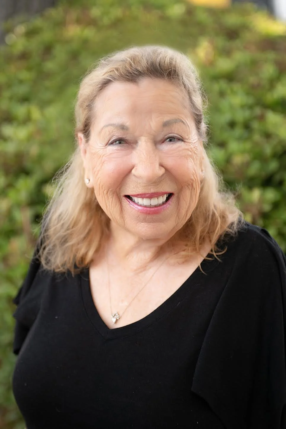 Wisdom Agents — Wisdom Properties