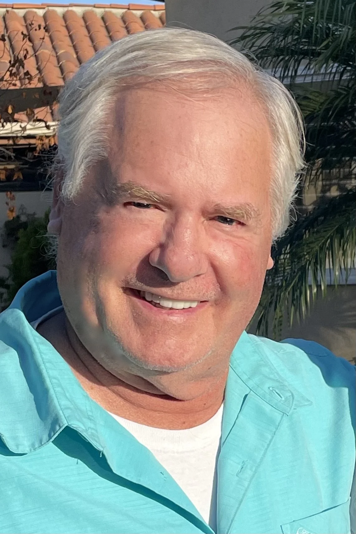 Wisdom Agents — Wisdom Properties