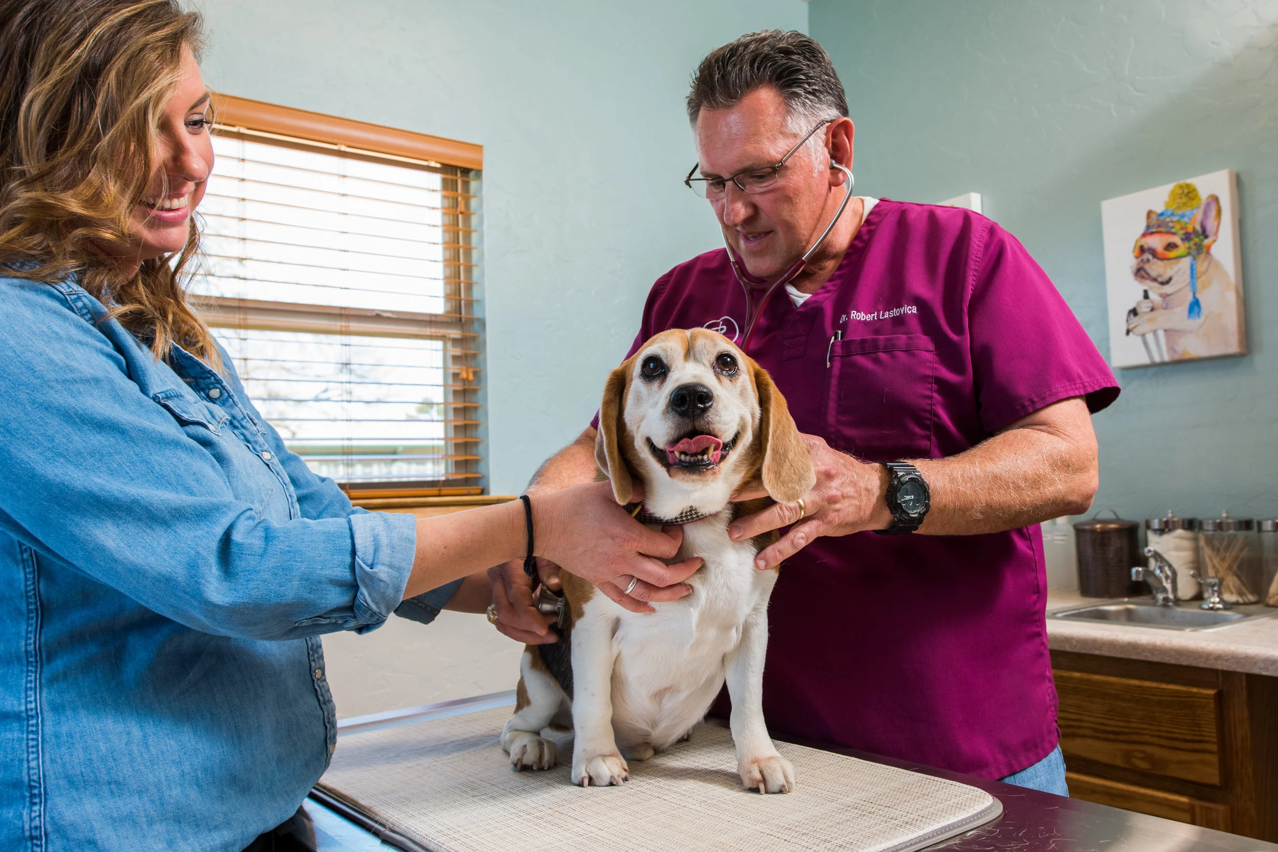 SERVICES — Friendship Veterinary Center, Inc.