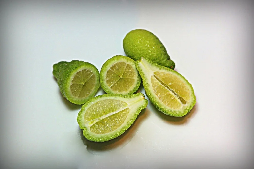 OZ Finger Lime | Varieties