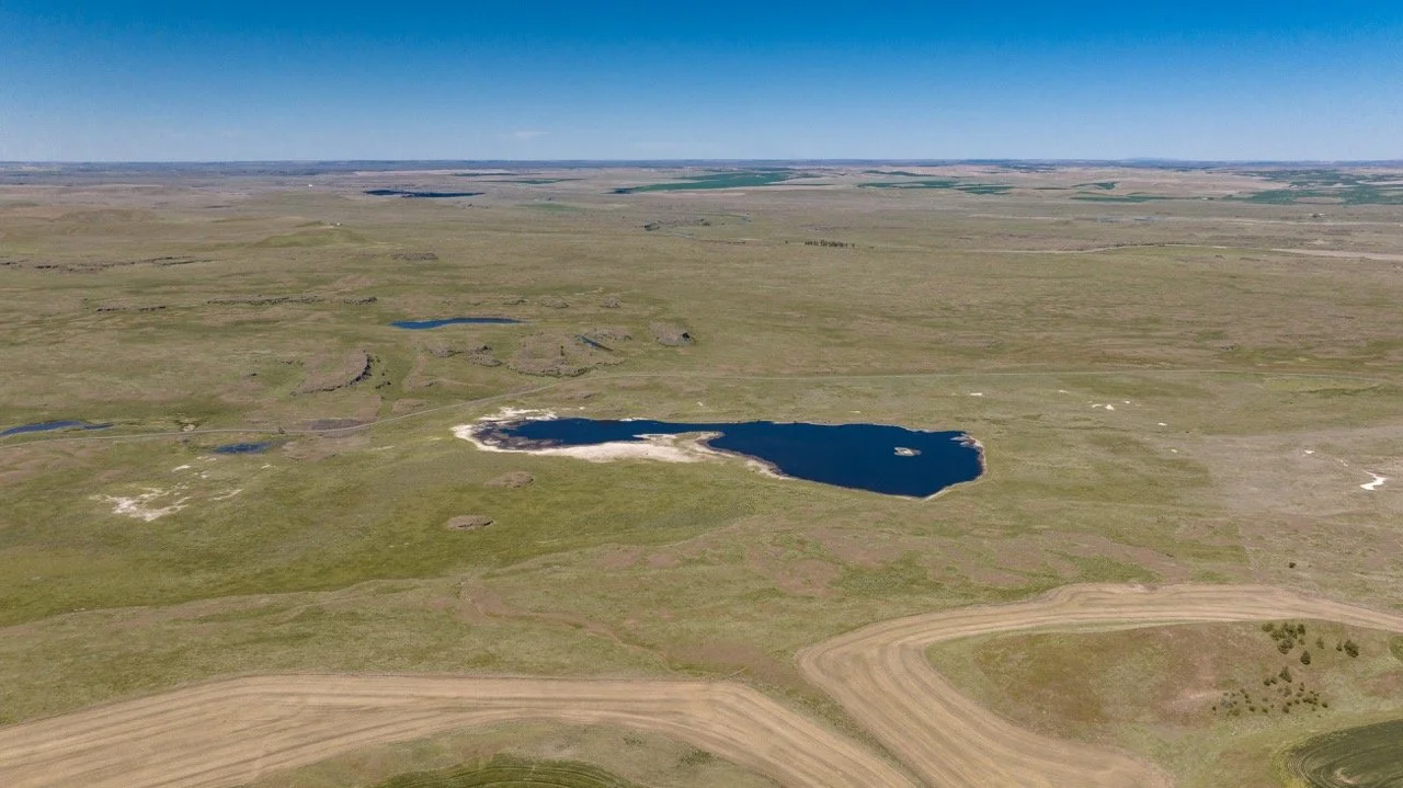 FOR SALE | Western Whitman County Farm — Farmland Company / Farmland ...