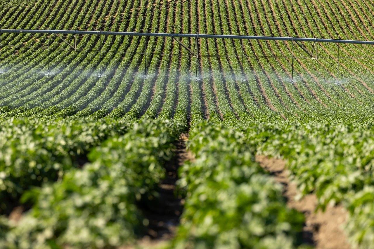 For Sale — Farmland Company / Farmland Management, Insurance, Real ...