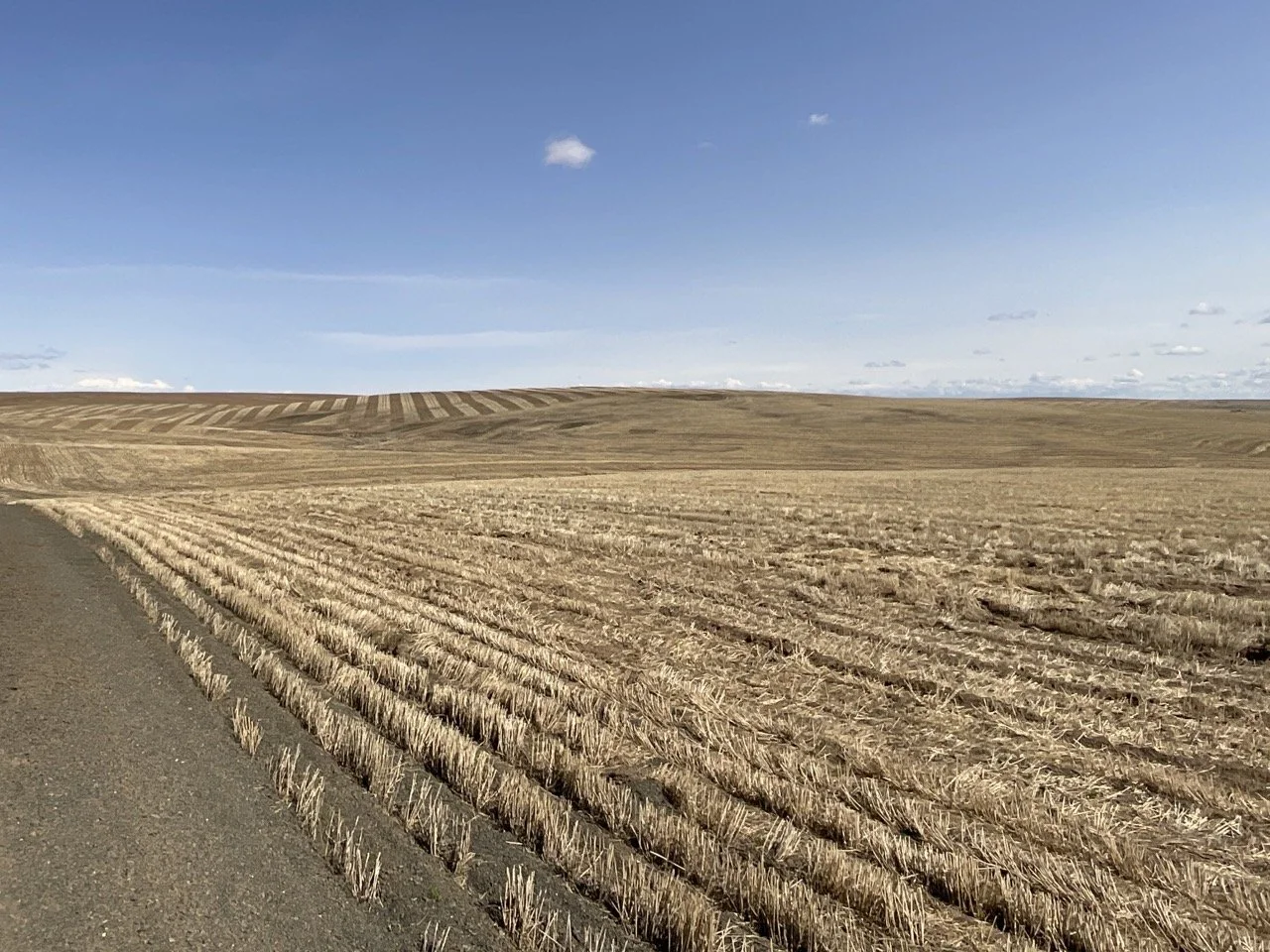 For Sale — Farmland Company / Farmland Management, Insurance, Real ...