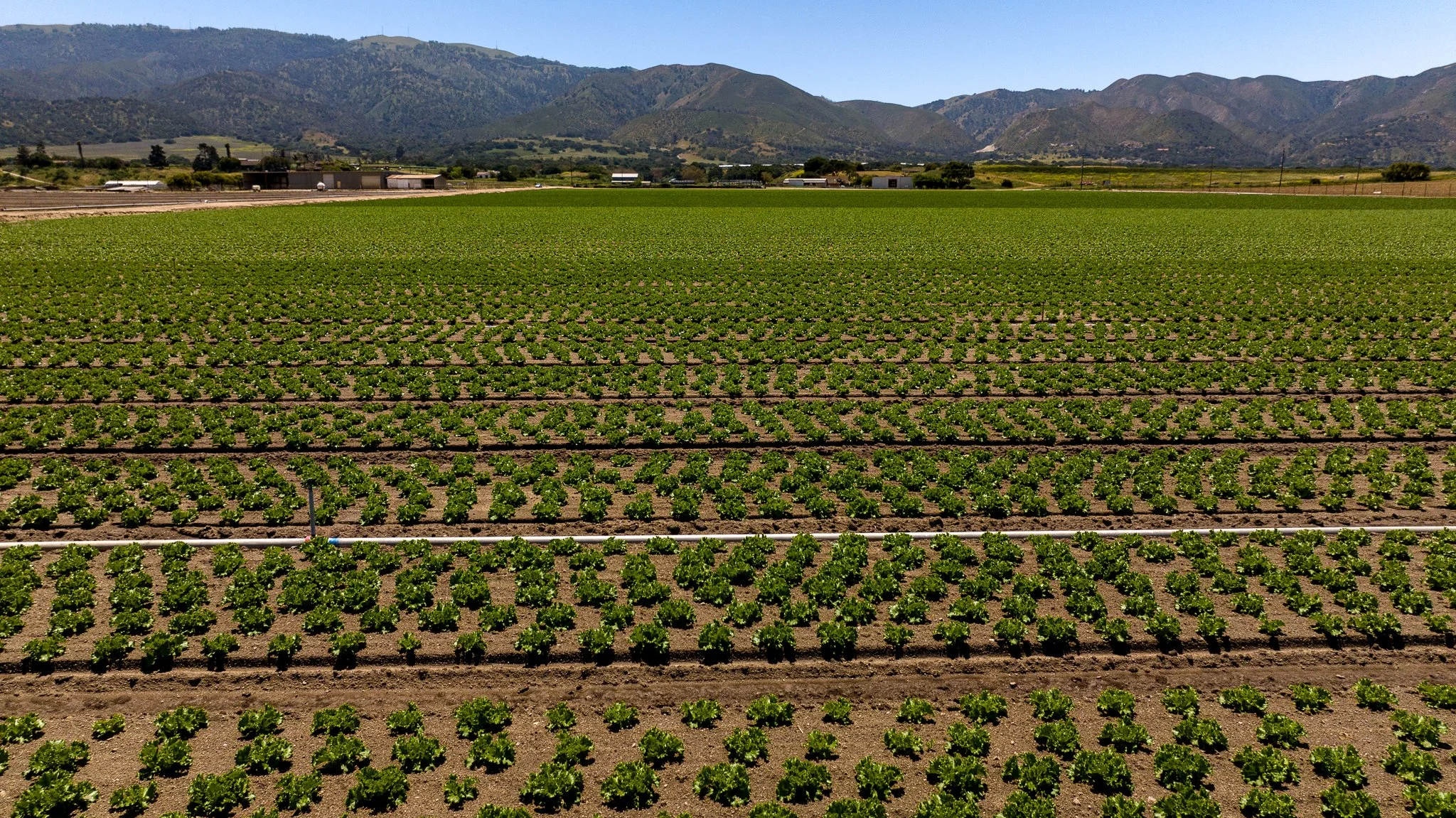 For Sale — Farmland Company / Farmland Management, Insurance, Real ...