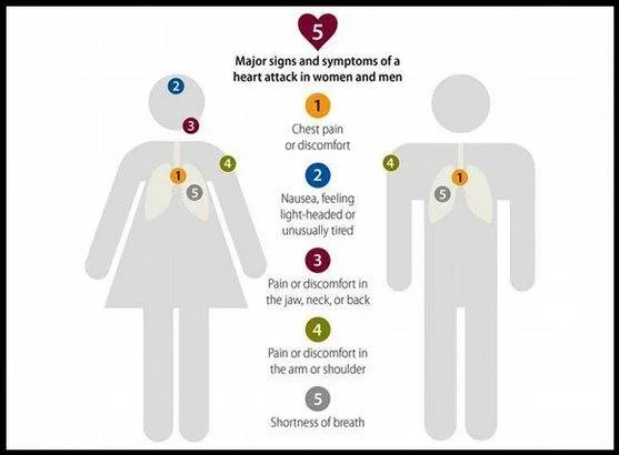 What are the signs of a heart attack? — Medipulse: Best Private ...