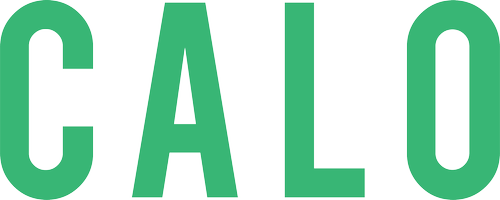 المدونة — STV