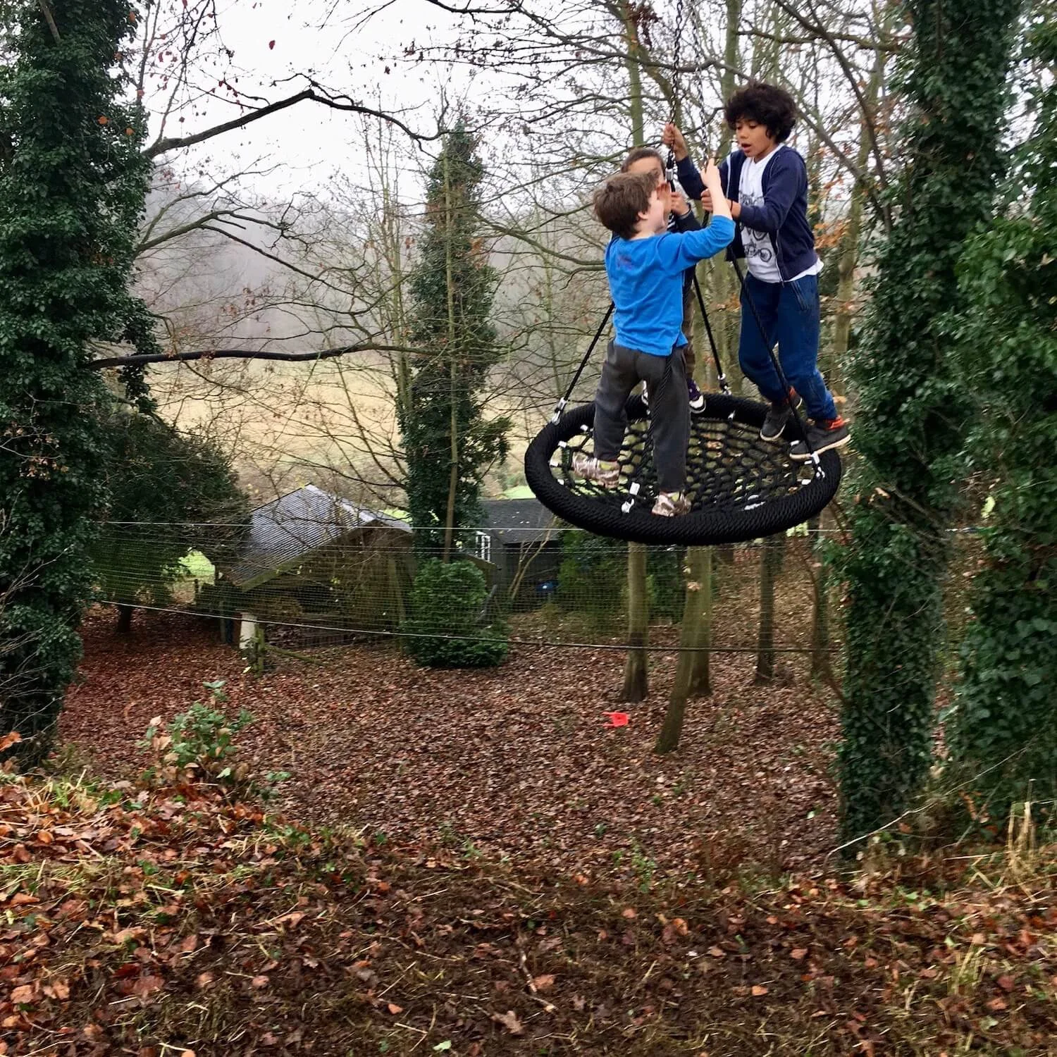 Treehouses, Rope Bridges, Treetop Walkways and Nest Swings