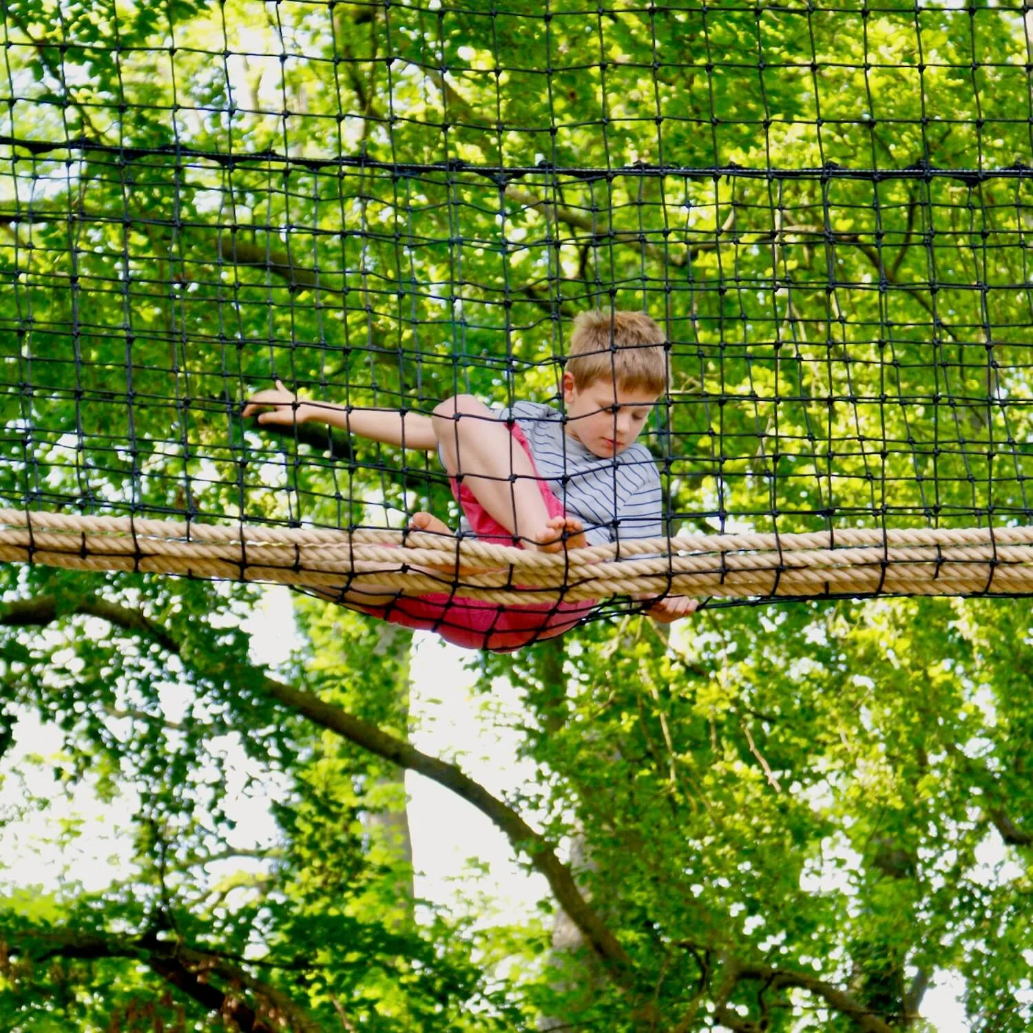 Treehouses, Rope Bridges, Treetop Walkways and Nest Swings