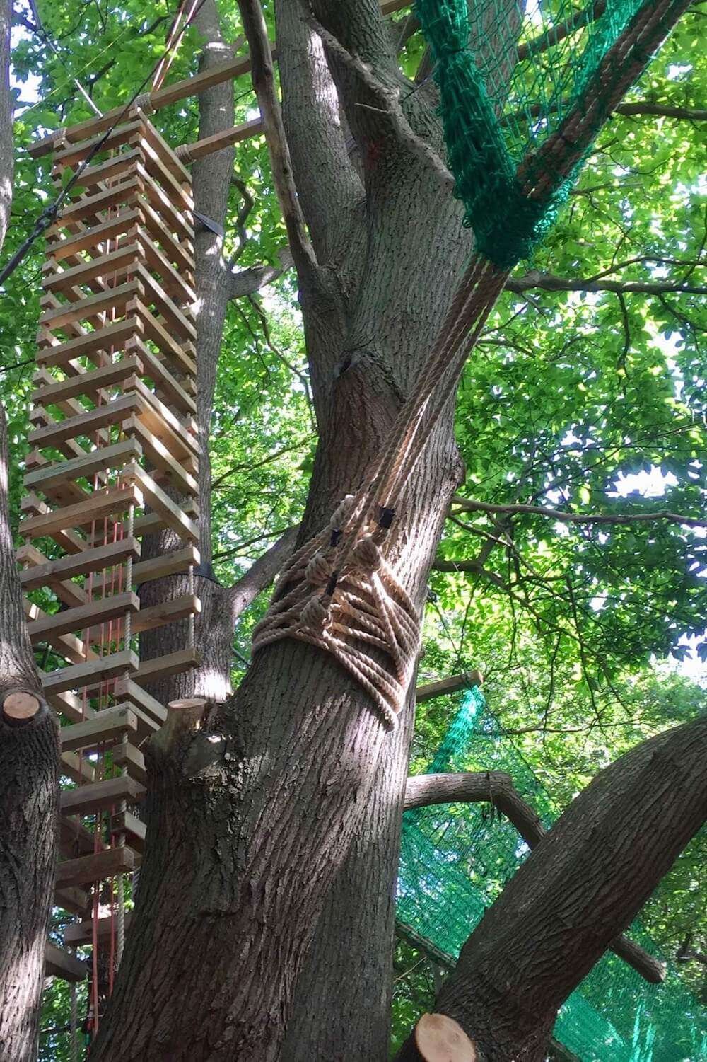 Groombridge Place Treetop Walkway - Kent — Treehouses, Rope Bridges ...