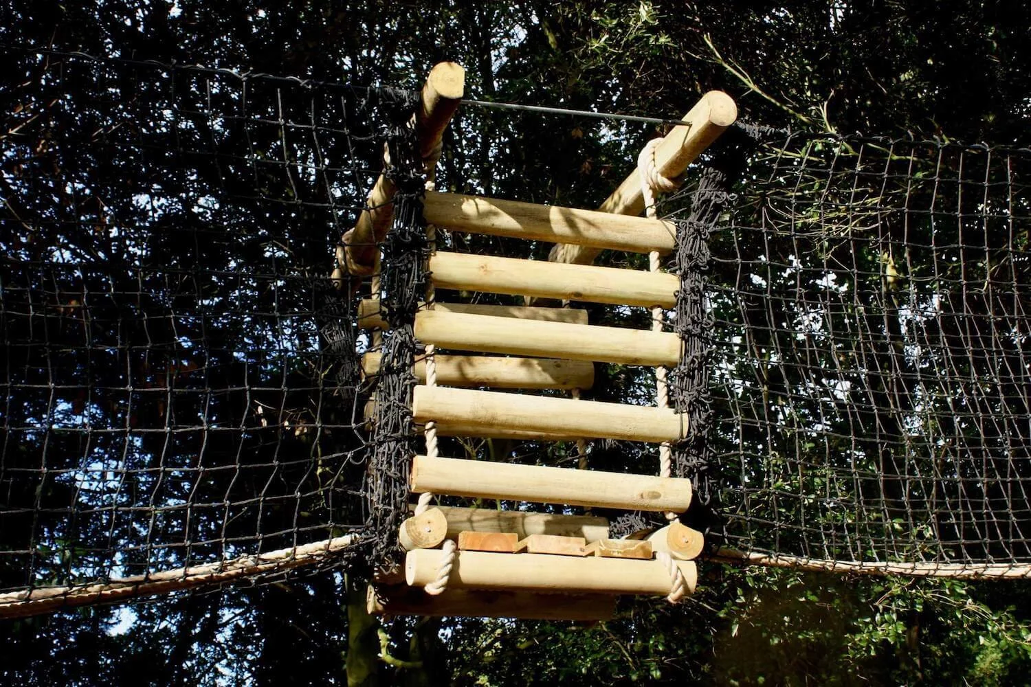 Woodland School Project with Rope Bridge — Treehouses, Rope Bridges ...