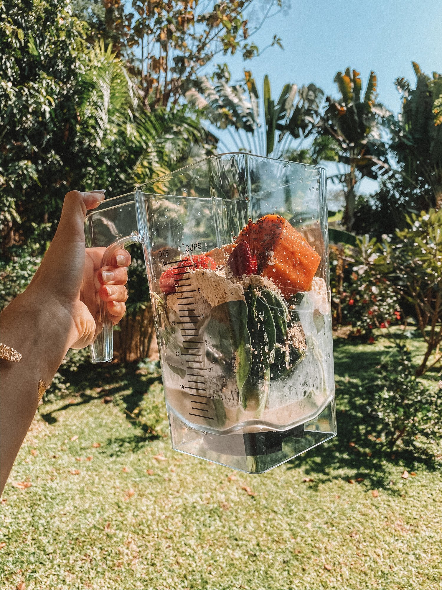 Become an IIN Health Coach — Wholesome Stef