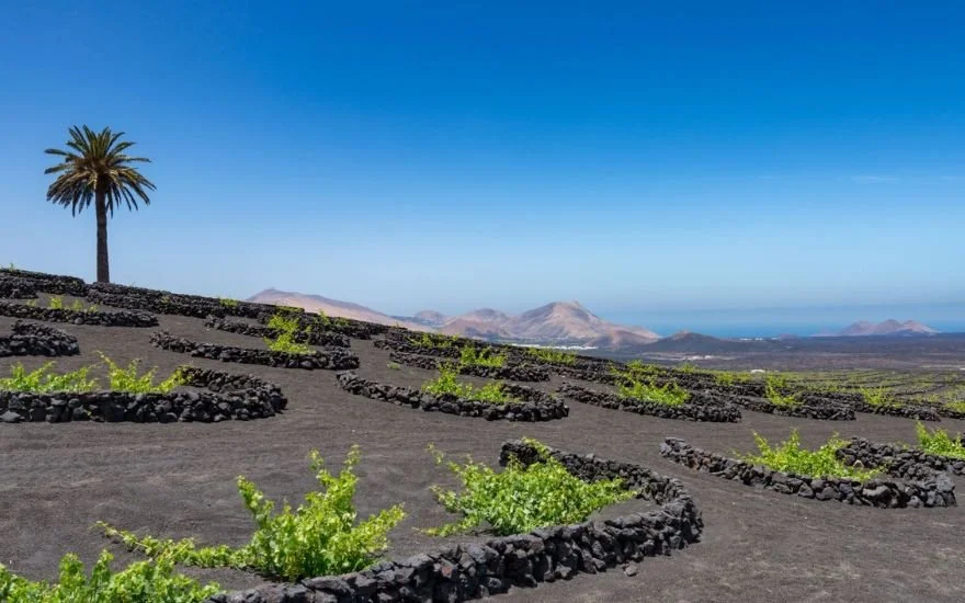 A Global Tour of Your Must-Try Volcanic Wines — The Three Drinkers