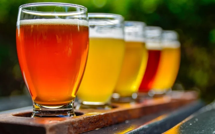 Ale vs Lager: What's the Difference? — The Three Drinkers