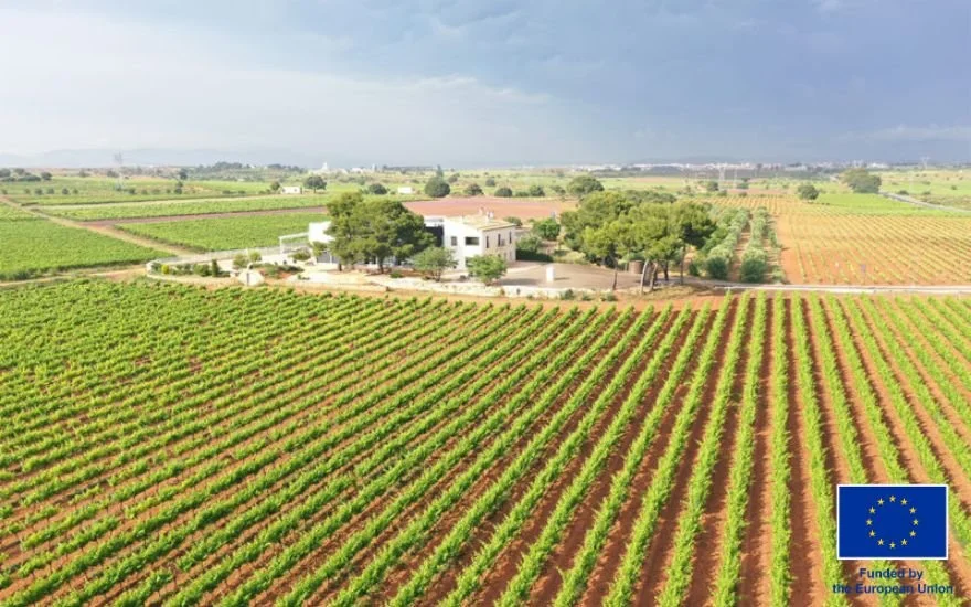 Bodegas Hispano + Suizas: The Spanish Winery You Need To Know — The ...