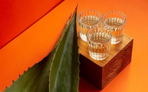 What is Mezcal and What Should I Try? — The Three Drinkers