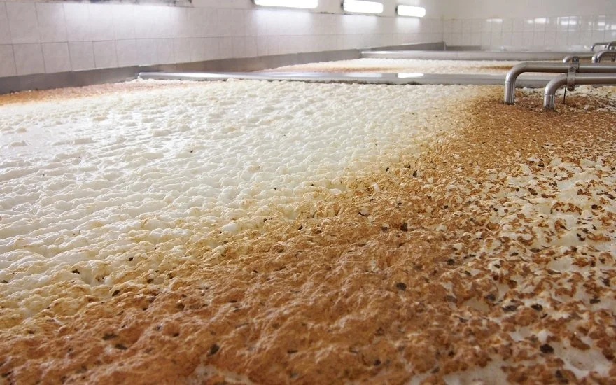 Ale vs Lager: What's the Difference? — The Three Drinkers