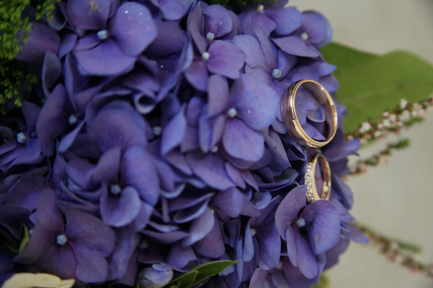 Wedding — Jason Seth