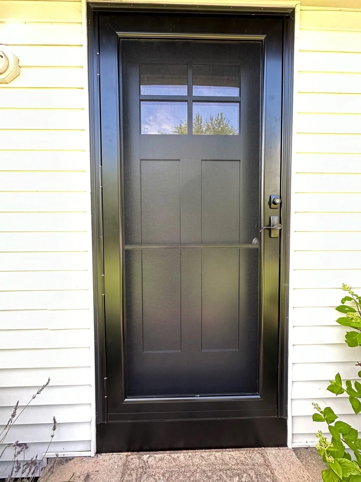 Storm Doors