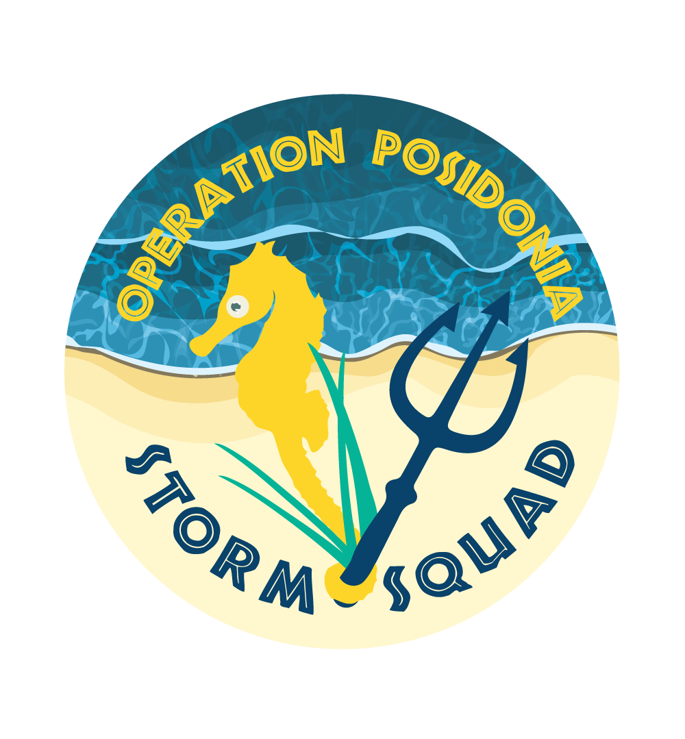 STORM SQUAD — Posidonia Australis Project