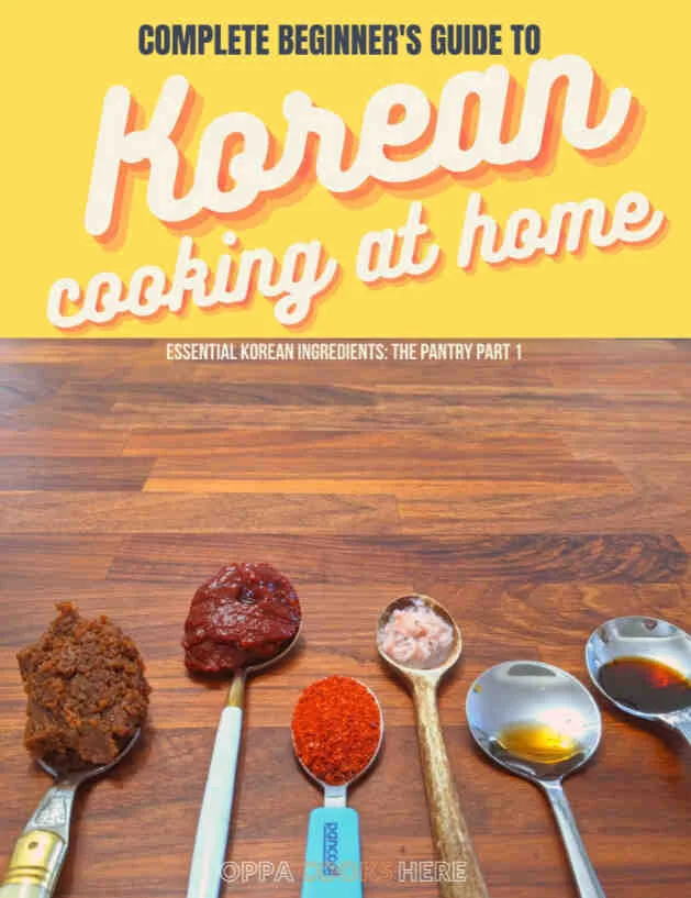 OPPA COOKS HERE – Korean cooking for total noobs.