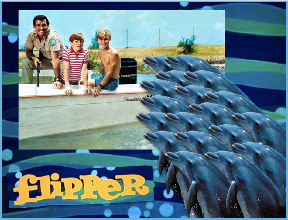 The Tragic Death of Bebe aka Flipper the Dolphin (1956 - 1997) — DEAD ...