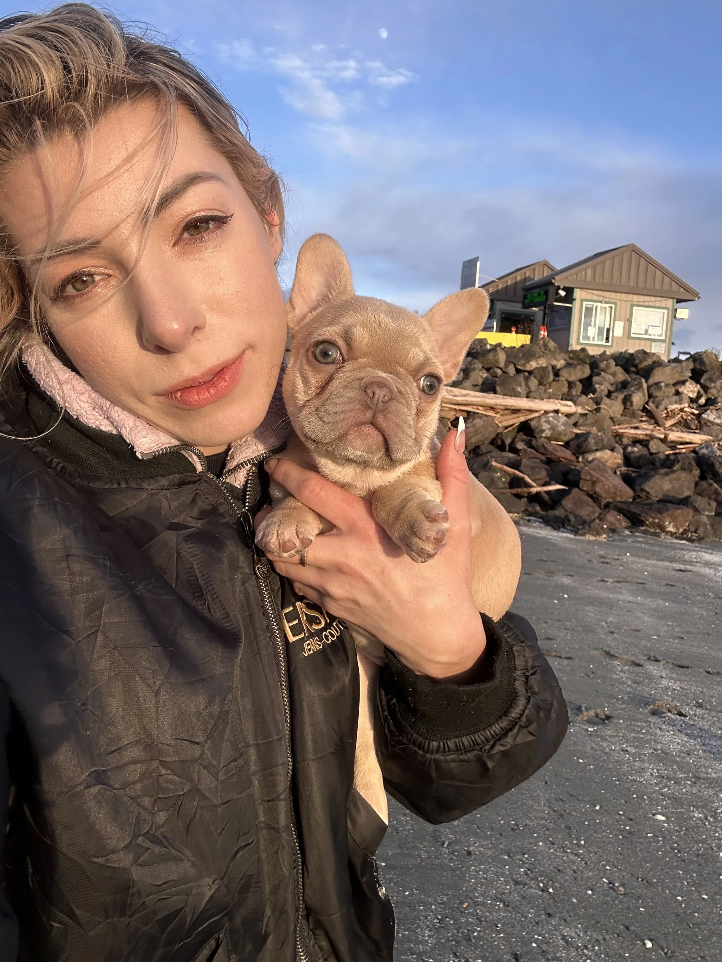 French Bulldog Puppies for Sale in Washington State- Availabull Page ...