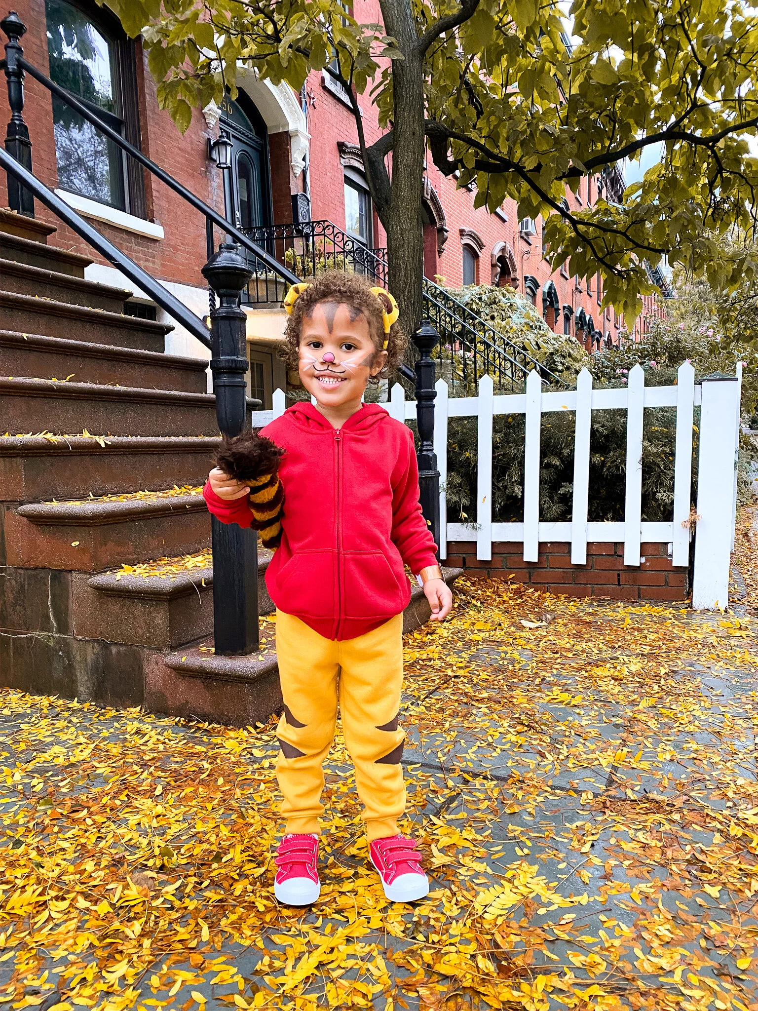 Homemade Tiger Costume Ideas