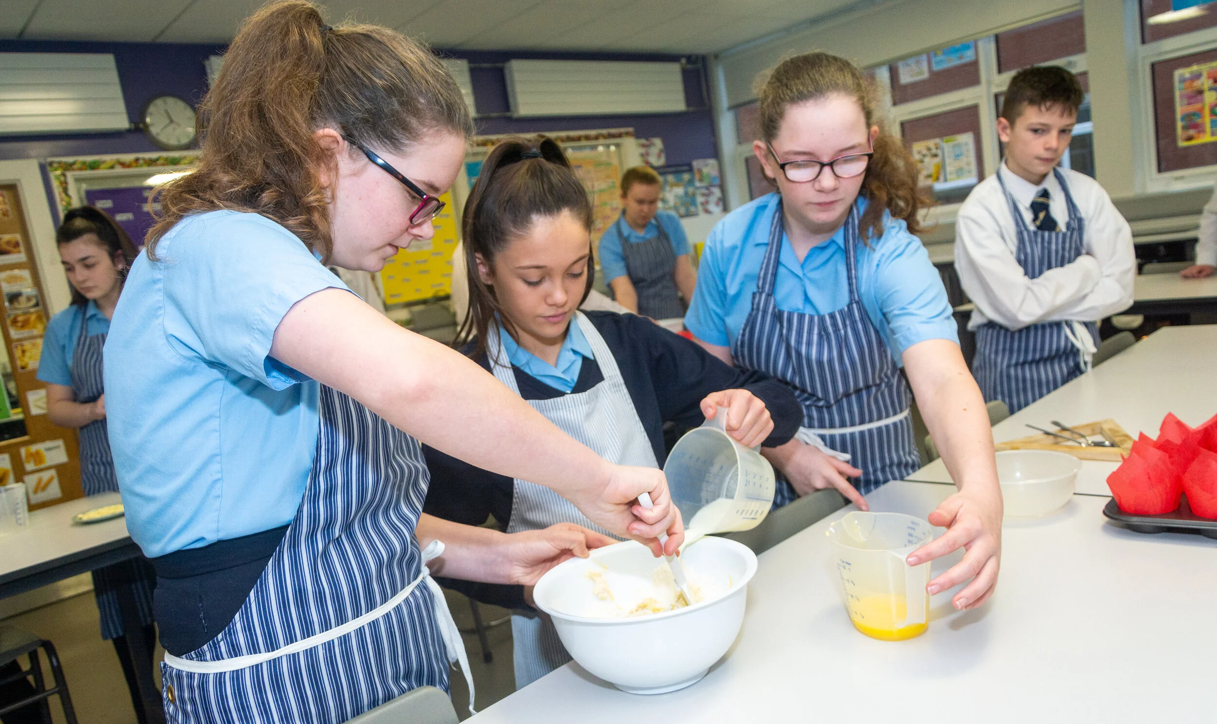 High School Home Economics Curriculum