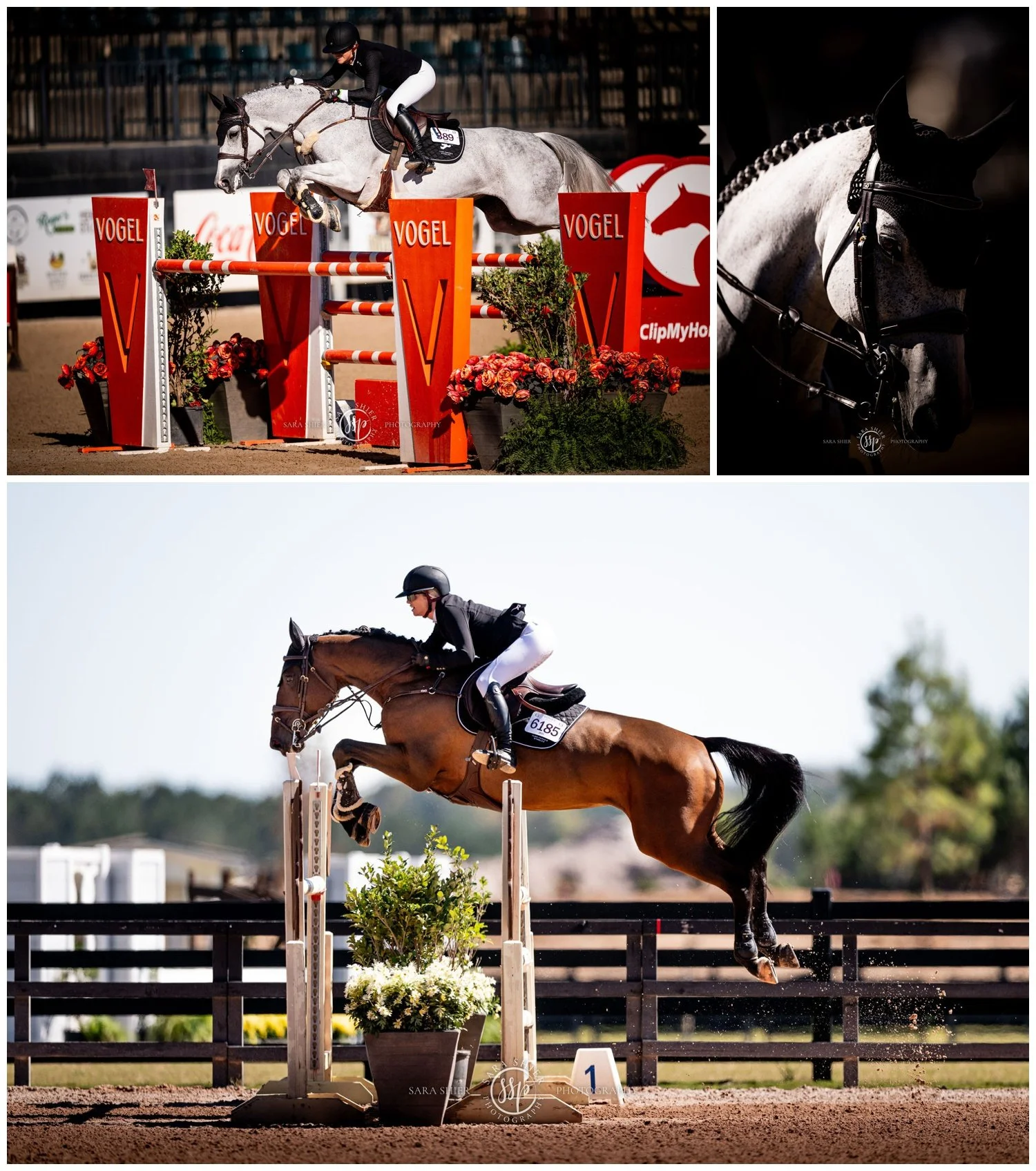 Mary Frances Looke | Tryon International Equestrian Center | Mill ...
