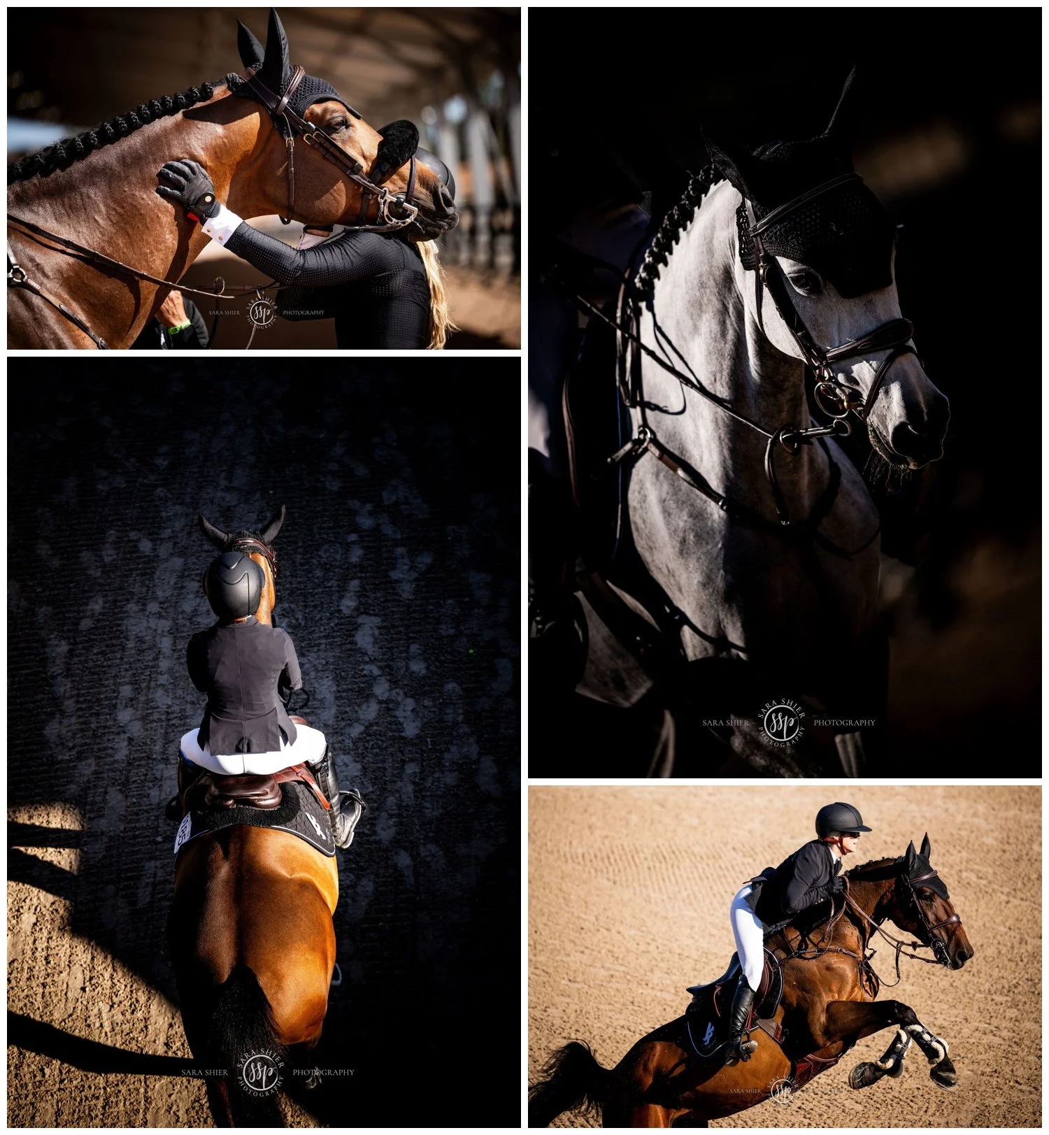 Mary Frances Looke | Tryon International Equestrian Center | Mill ...