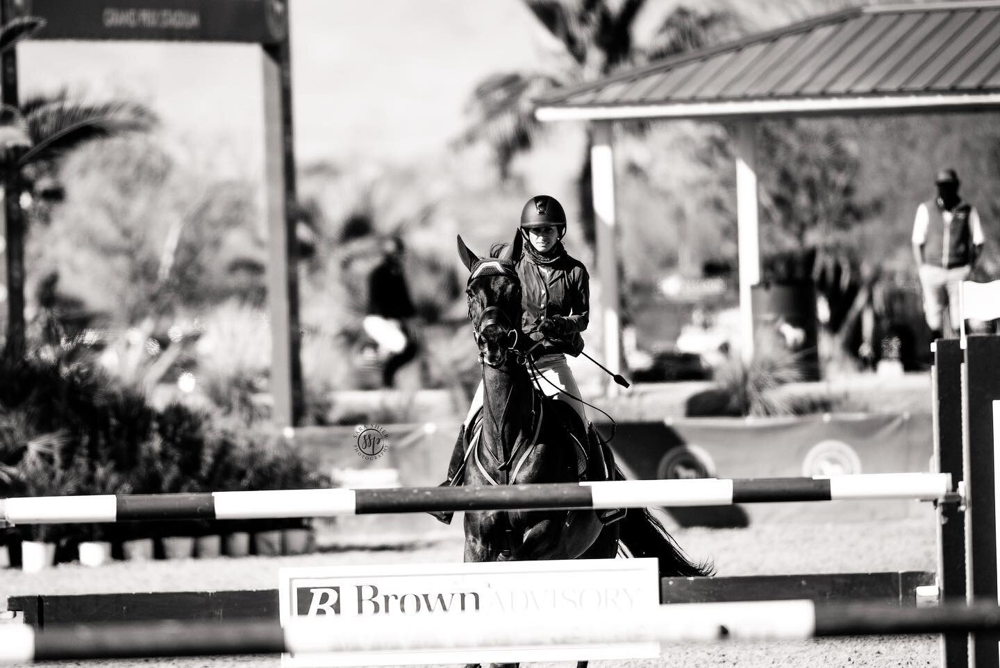 Sara Shier Photography | California | Horse Photographer