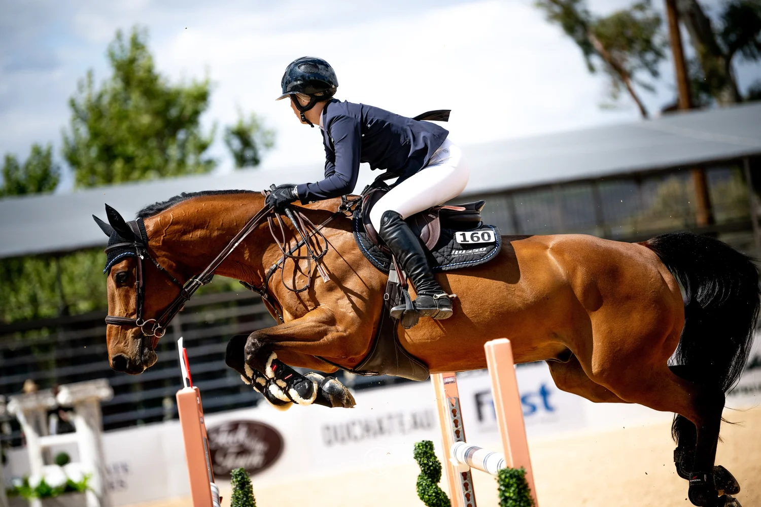 Equestrian Show Photography